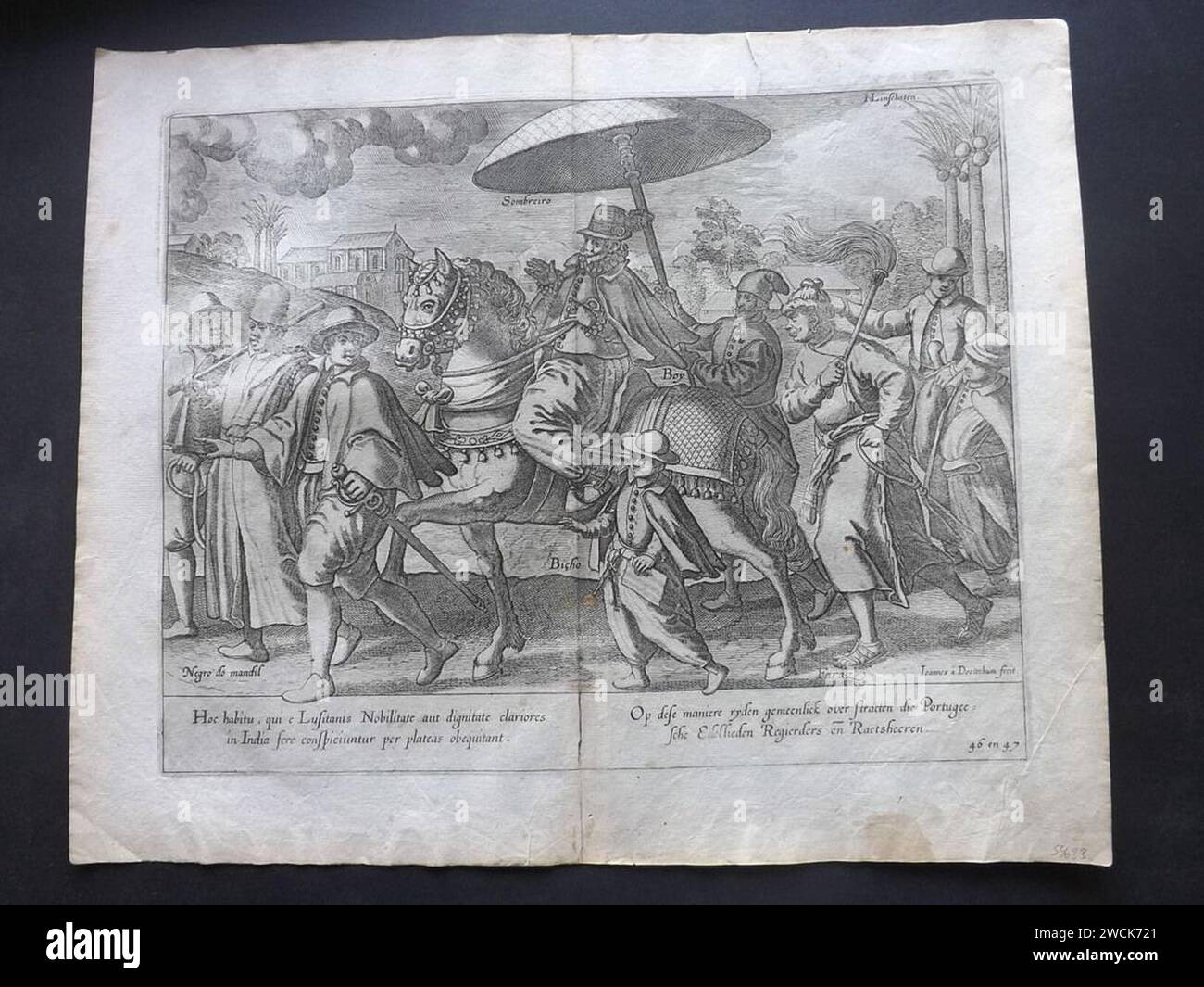 Portuguese nobleman hi-res stock photography and images - Alamy