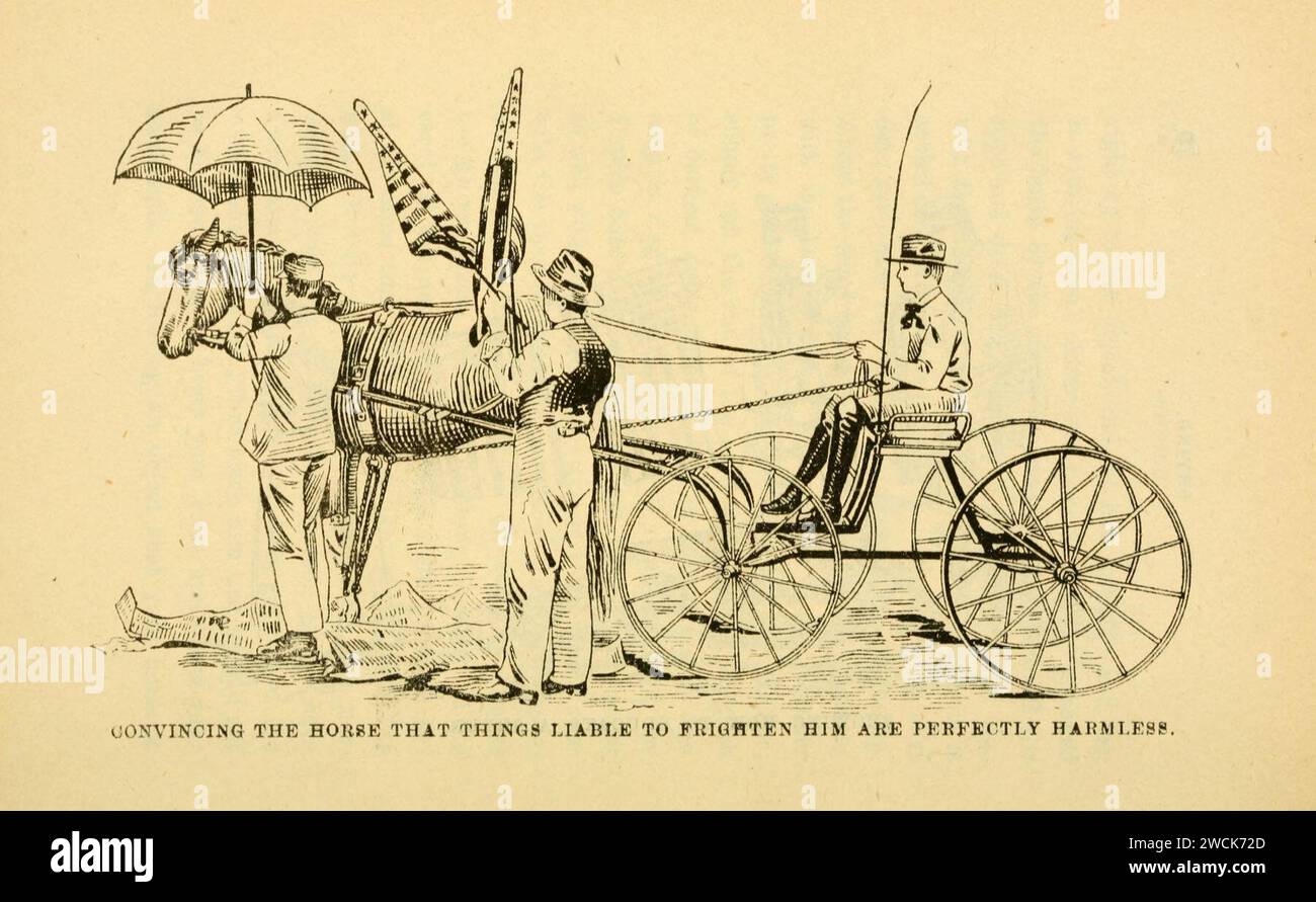 A practical system of colt training (Page 80 Stock Photo - Alamy