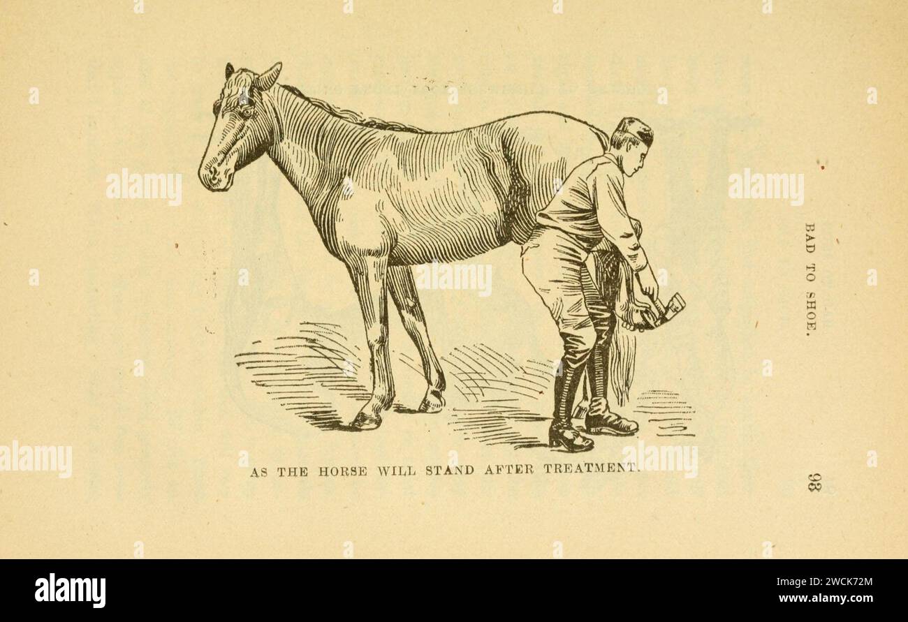 A practical system of colt training (Page 93 Stock Photo - Alamy