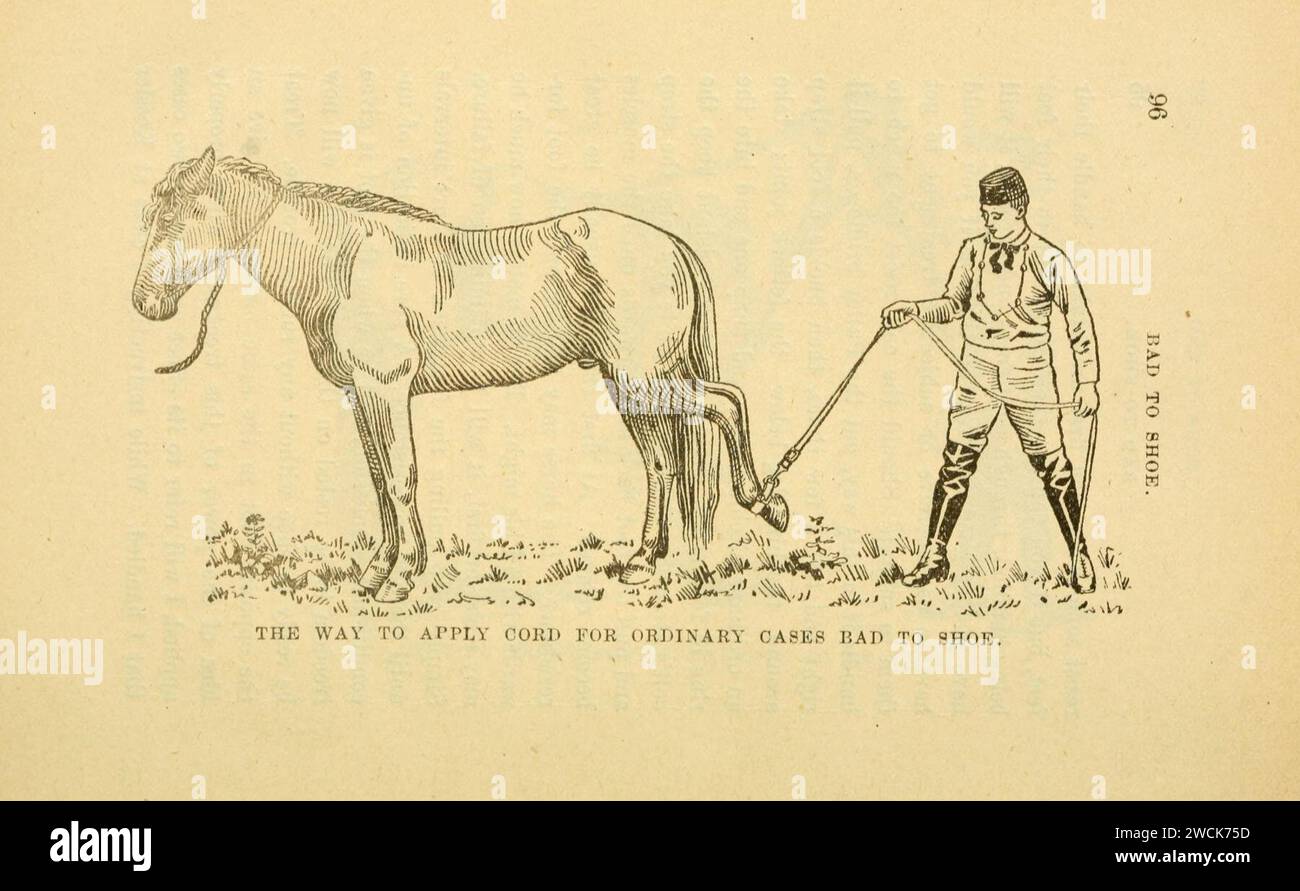 A practical system of colt training (Page 96 Stock Photo - Alamy