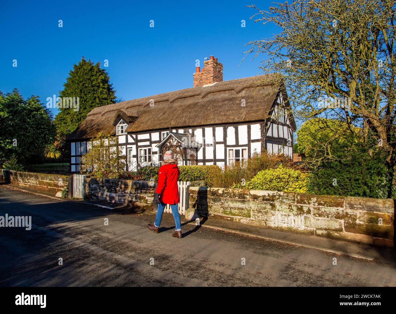 Woman in a red coat walking past black and white half timbered thatched ...