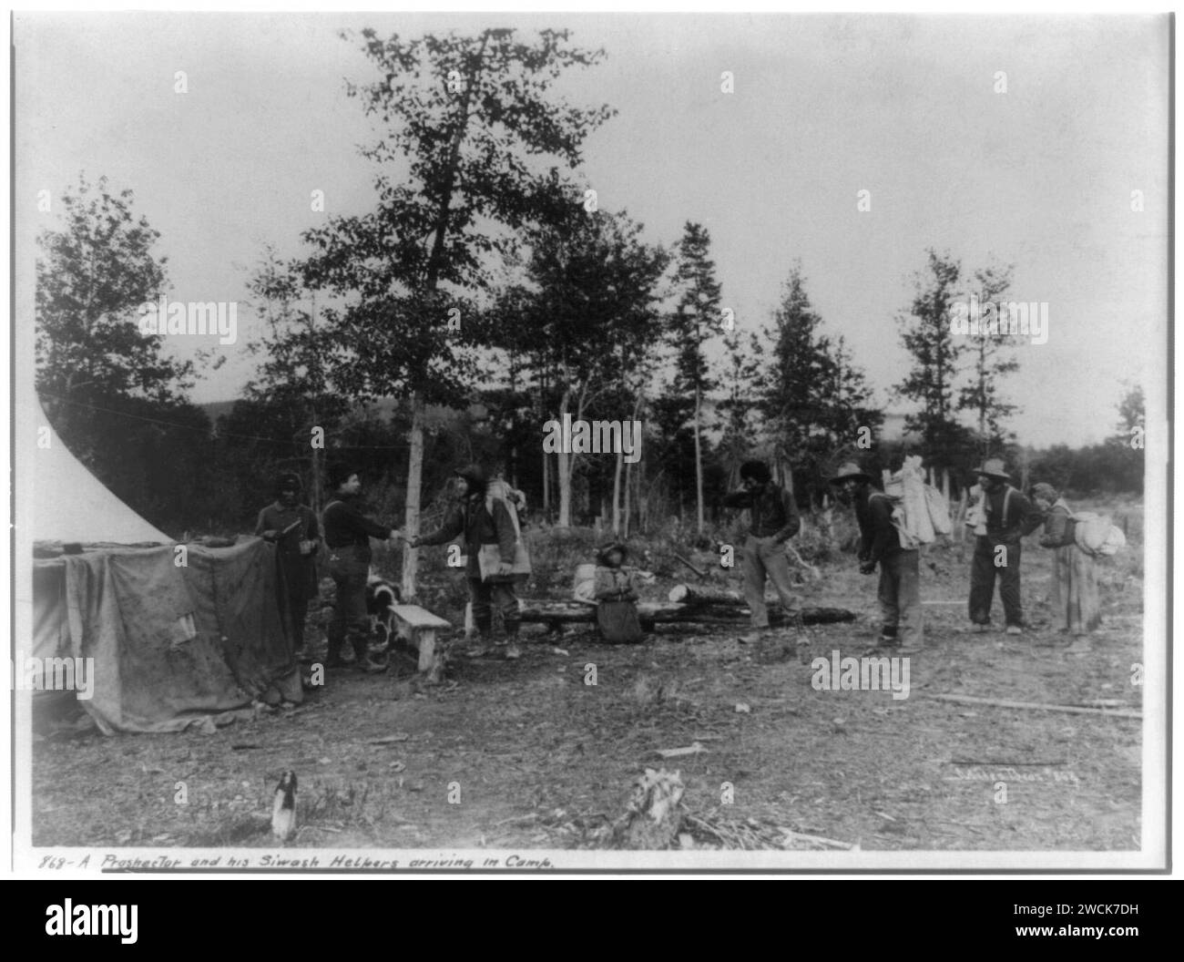A Prospector and his Siwash helpers arriving in camp Stock Photo - Alamy