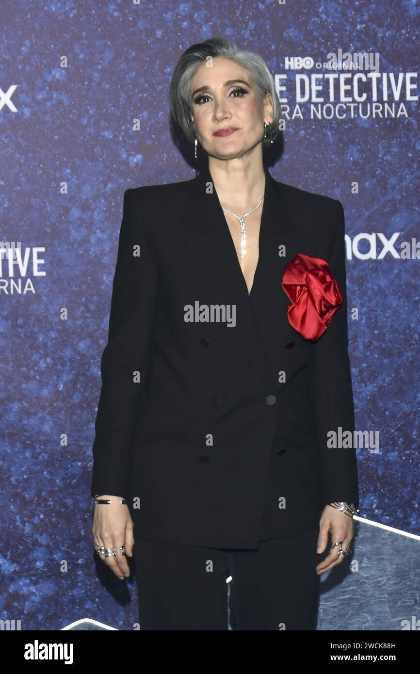 Blue carpet for the Tv series premiere by HBO 'True Detective: Night ...