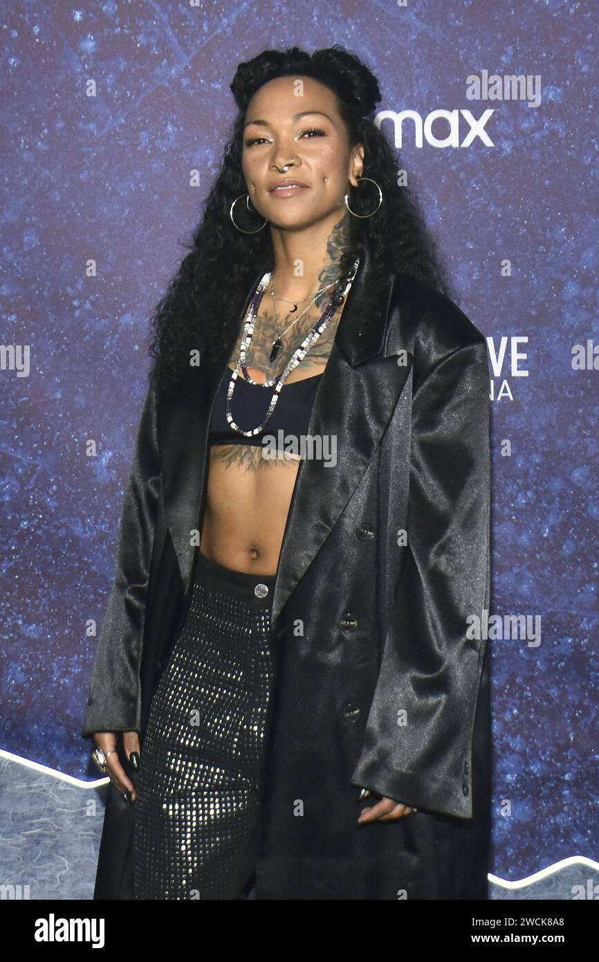 Blue carpet for the Tv series premiere by HBO 'True Detective: Night ...