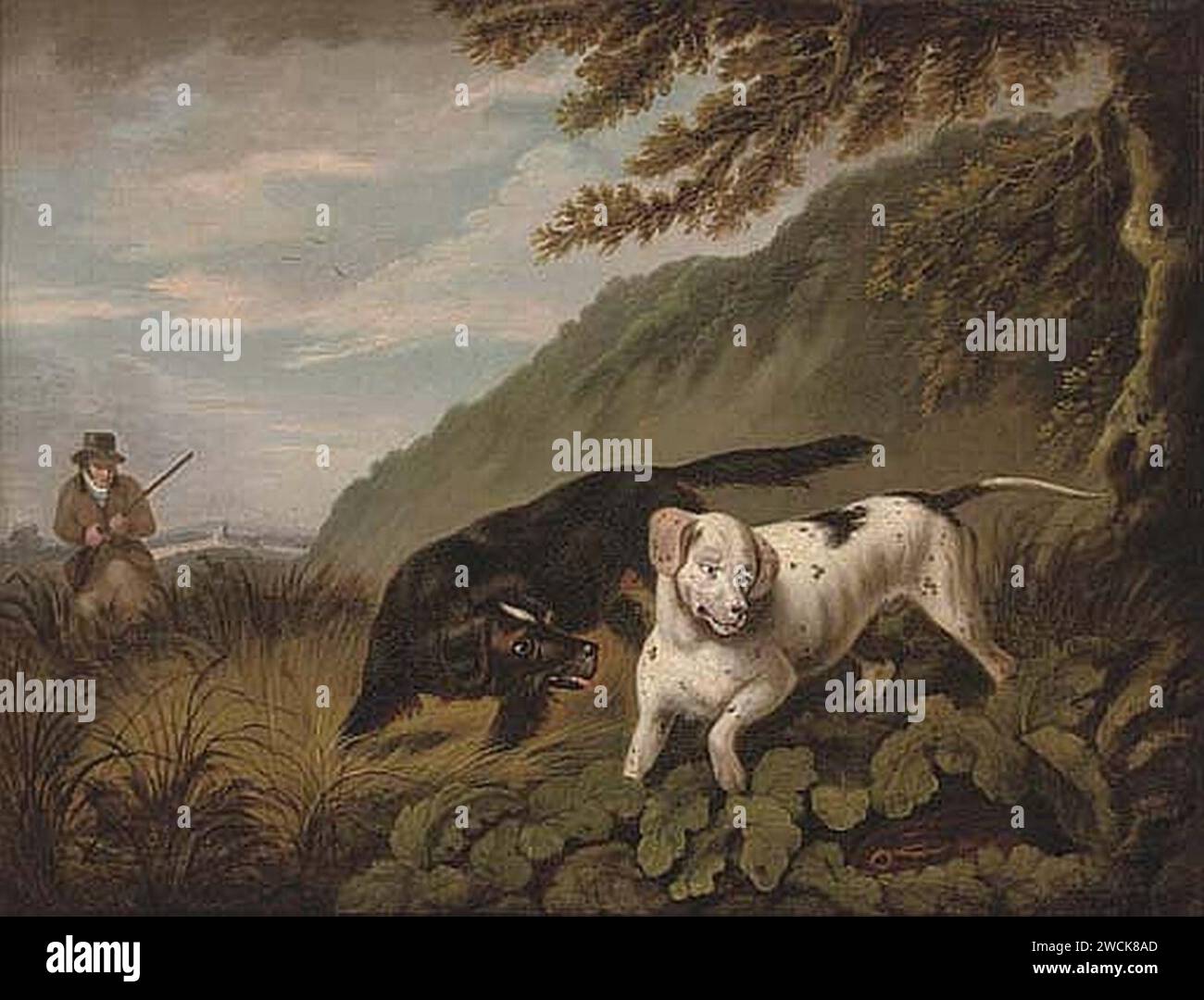 A rough shoot - Samuel Raven Stock Photo - Alamy