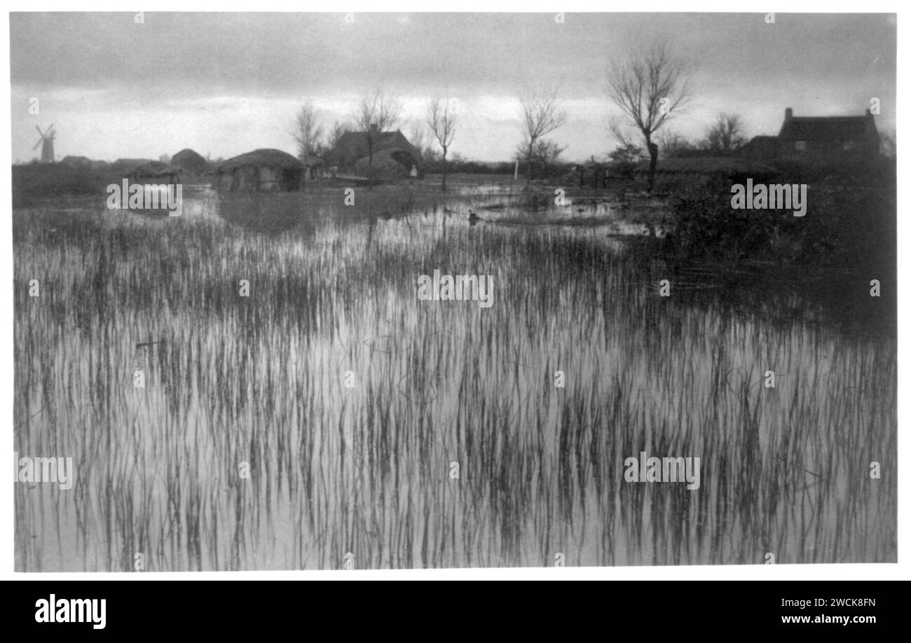 A rushy shore hi-res stock photography and images - Alamy