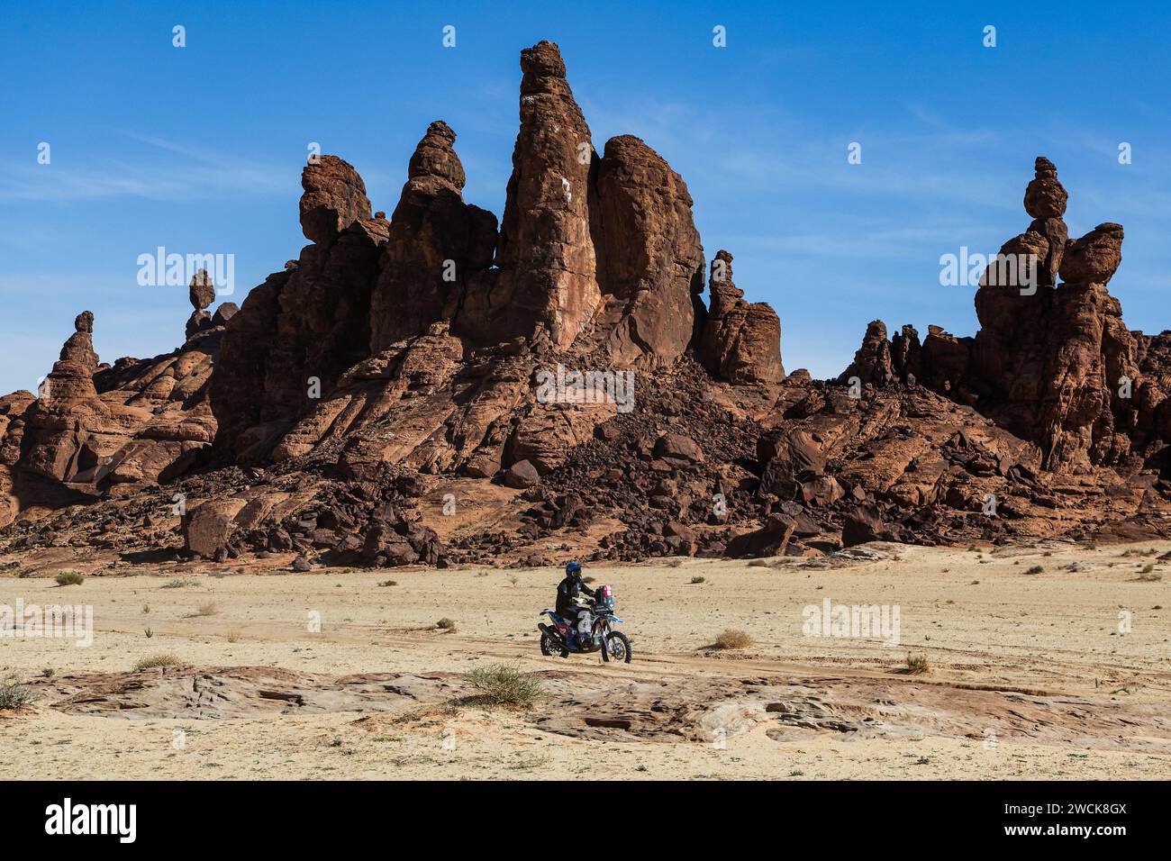 Al Ula, Arabie Saoudite. 16th Jan, 2024. 82 MARTIN GARCIA Albert (spa), Pedrega Team, Husqvarna ...