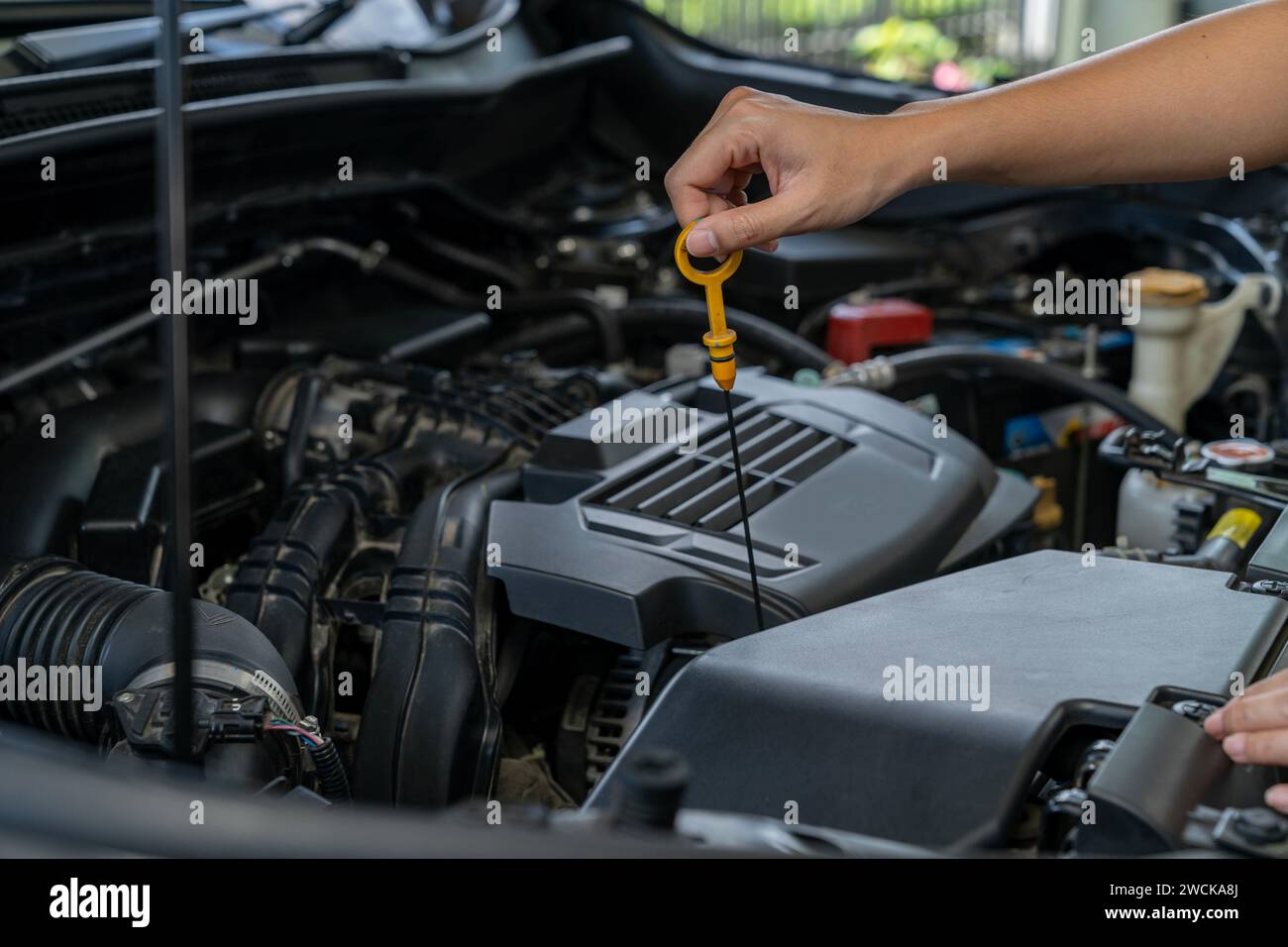 A young woman checking the car engine oil by herself Stock Photo - Alamy