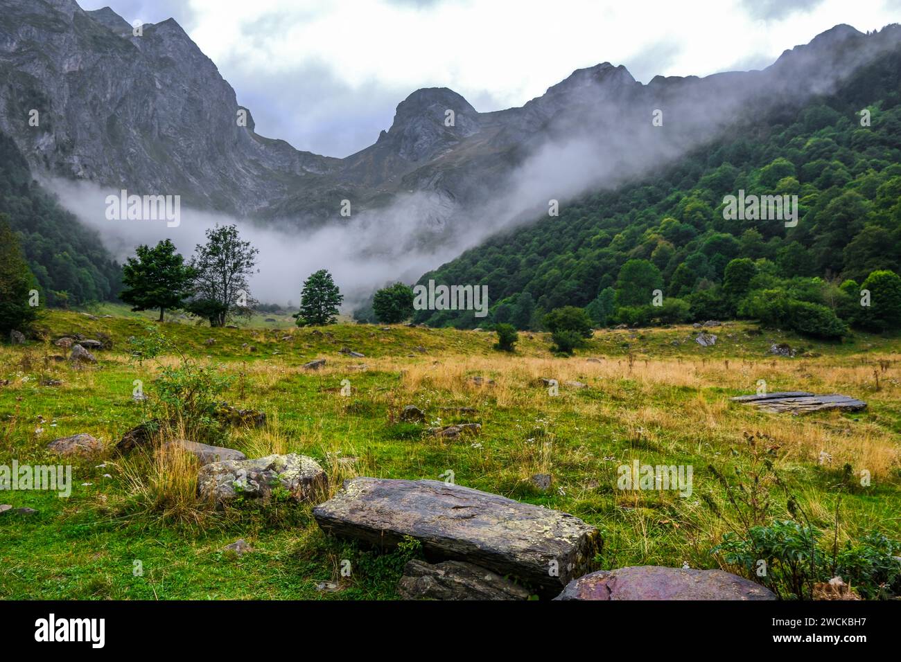 Aran Valley, Spain, forests, rivers, waterfalls, mountains Stock Photo ...