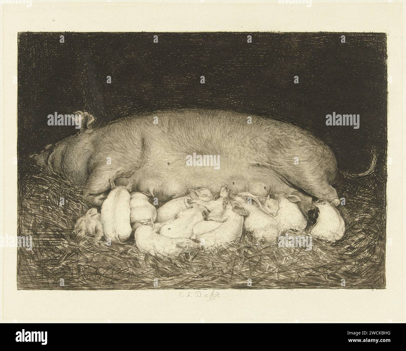 Sow with piglets lying in stable, Carel Lodewijk Dake, 1867 - 1885 ...