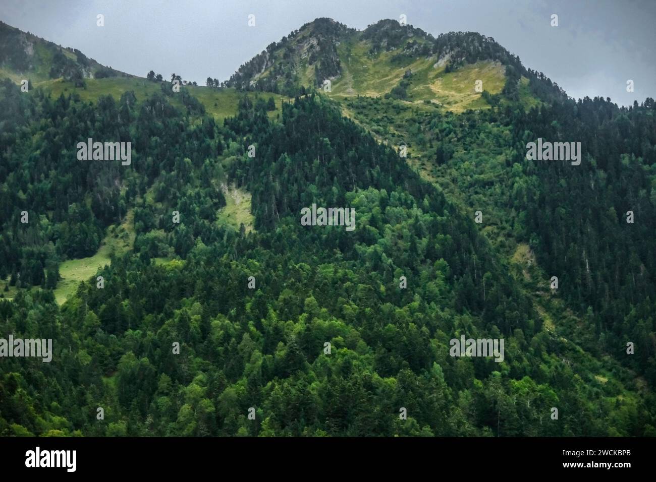Aran Valley, Spain, forests, rivers, waterfalls, mountains Stock Photo ...