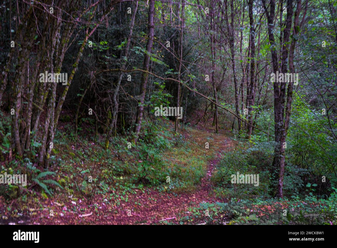 The wonderful Garos Town Stock Photo - Alamy