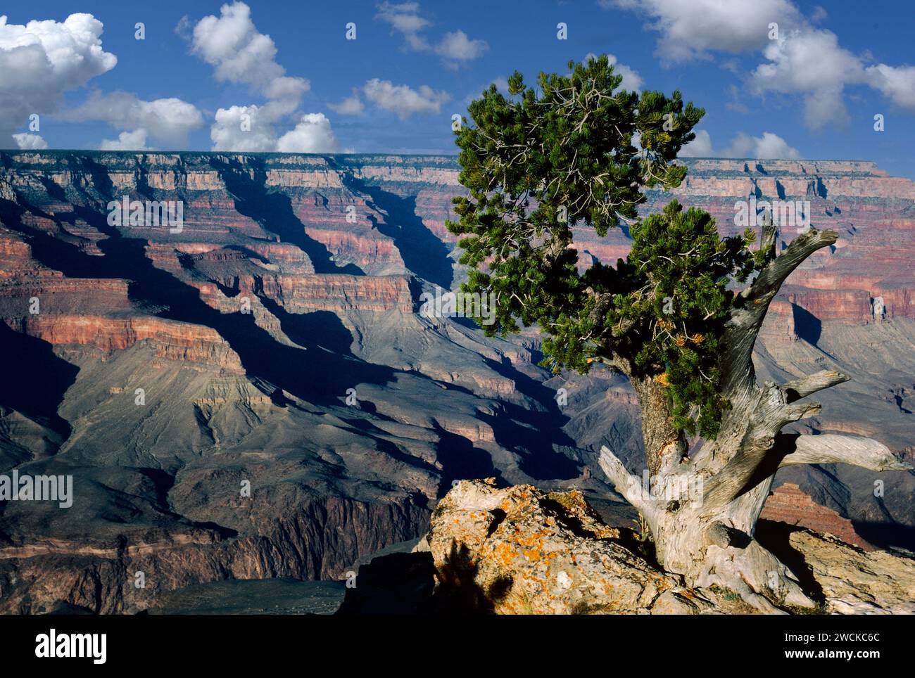 An aerial view of the Grand Canyon from the South Rim, Arizona, USA ...