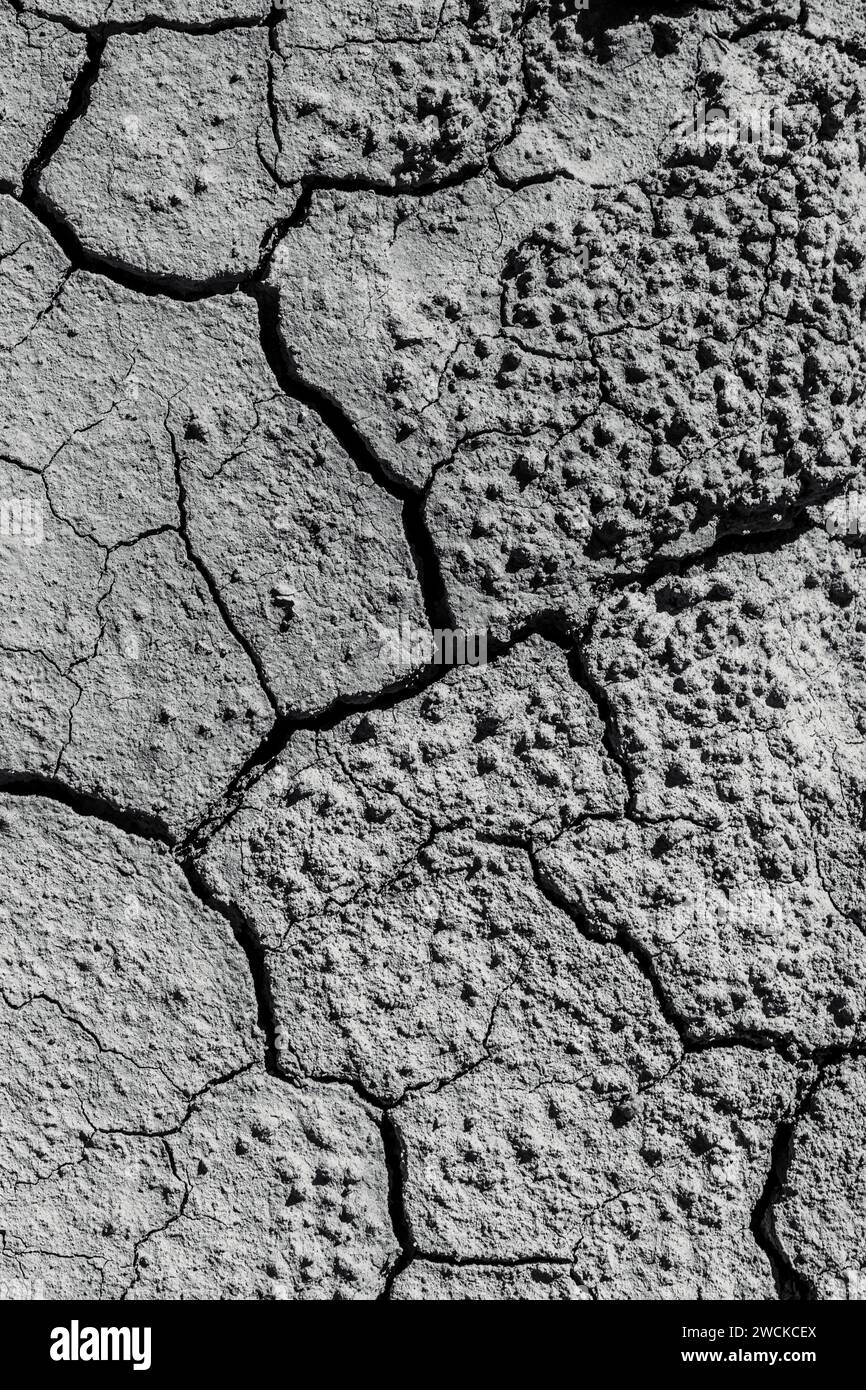 Cracked desert mud patch on the ground Stock Photo - Alamy