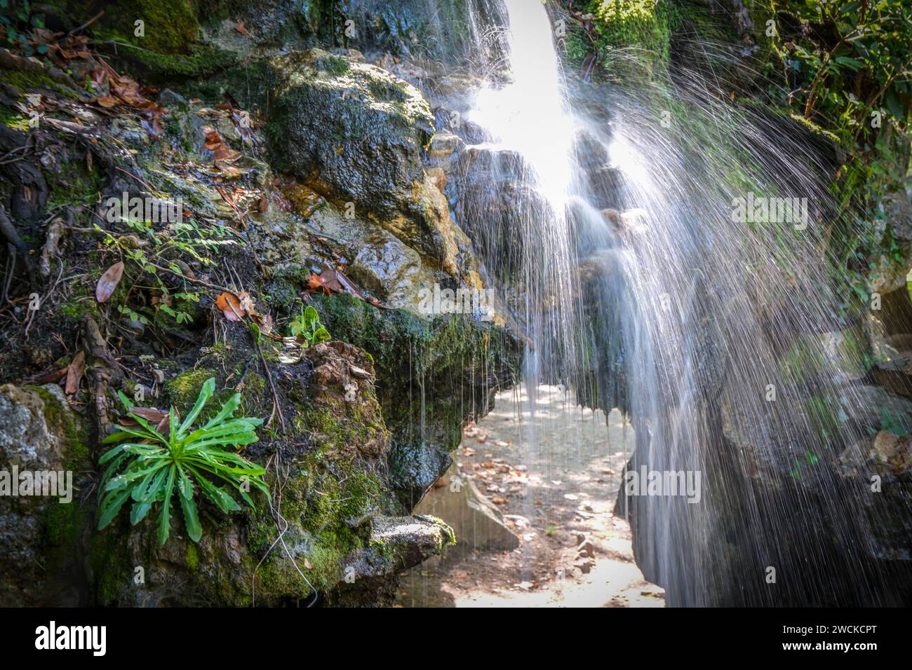 Aran Valley, Spain, forests, rivers, waterfalls, mountains Stock Photo ...