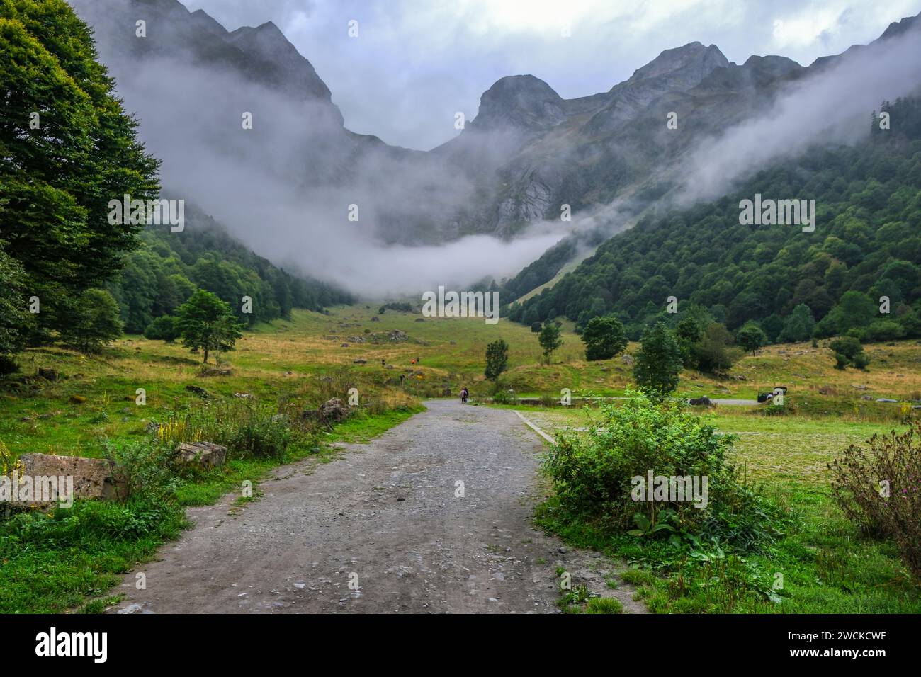 Aran Valley, Spain, forests, rivers, waterfalls, mountains Stock Photo ...