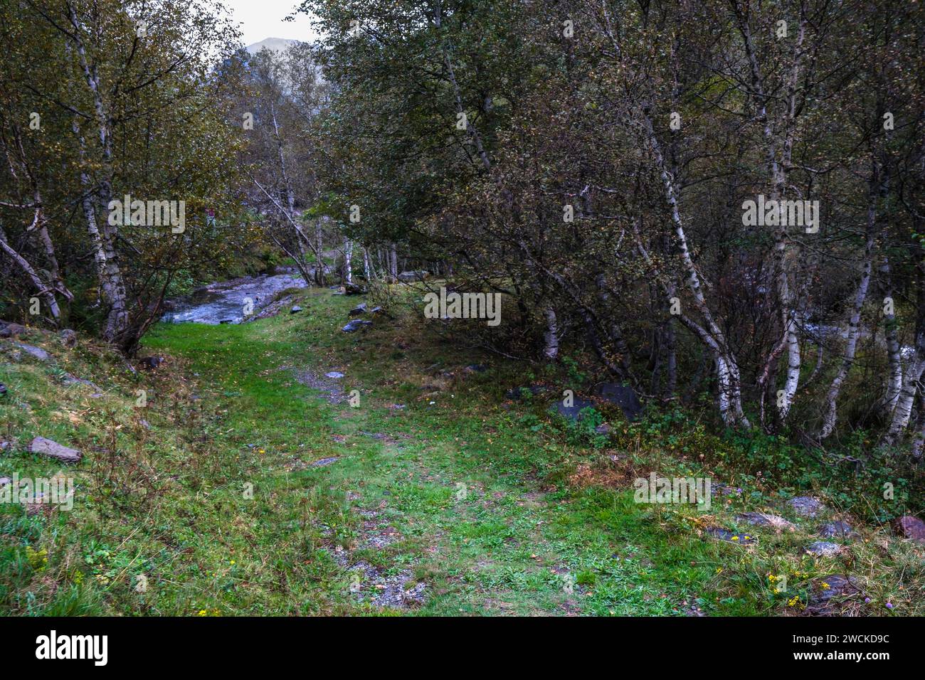 Aran Valley, Spain, forests, rivers, waterfalls, mountains Stock Photo ...