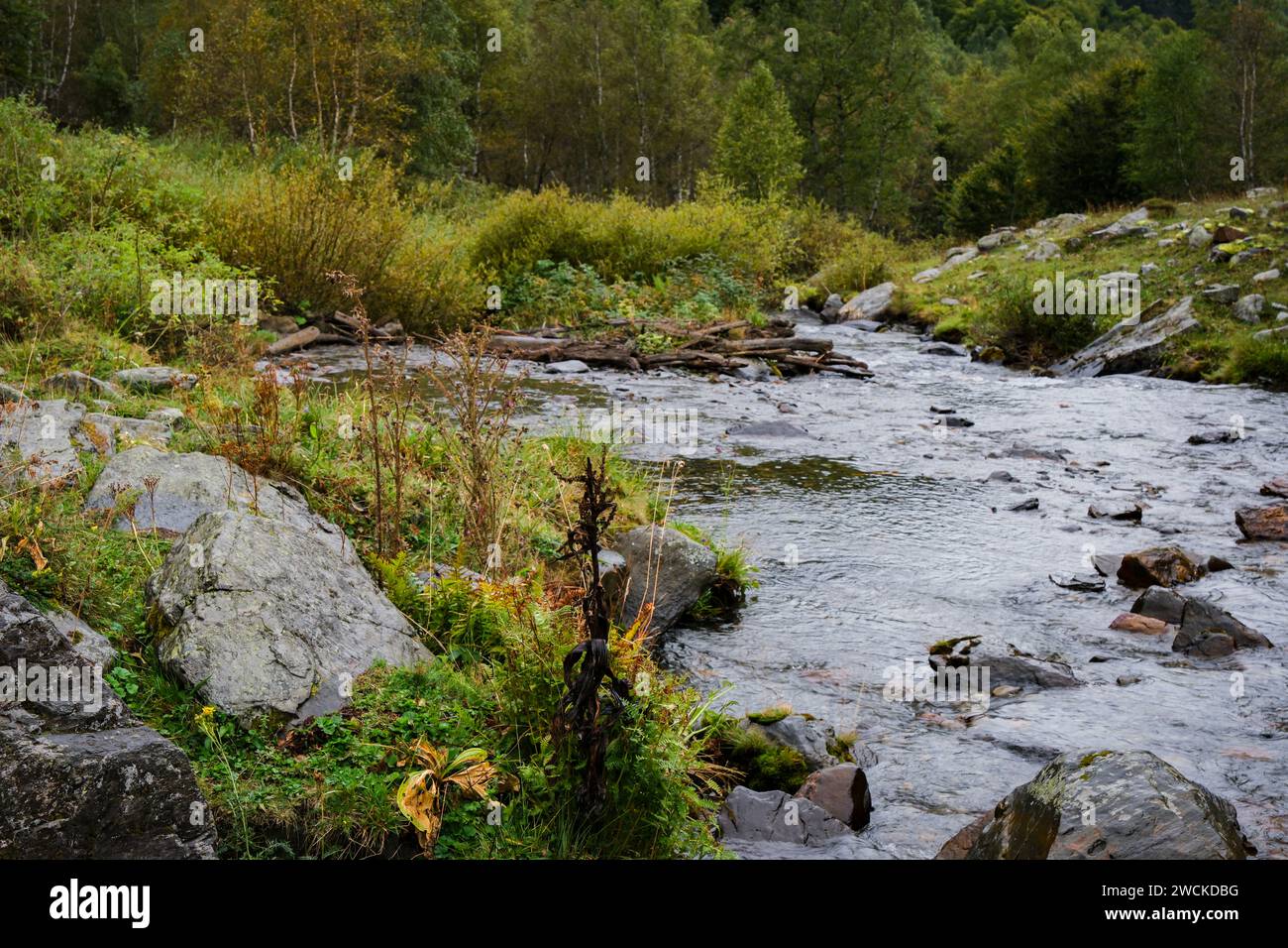Aran Valley, Spain, forests, rivers, waterfalls, mountains Stock Photo ...