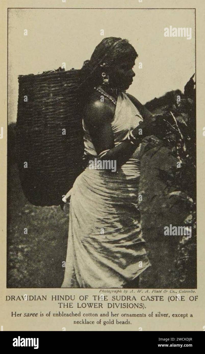 A W A Plate Dravidian Hindu of the Sudra Caste Women of All Nations 608 ...