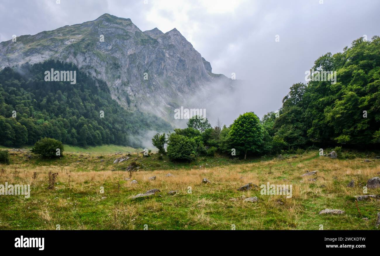 Aran Valley, Spain, forests, rivers, waterfalls, mountains Stock Photo ...