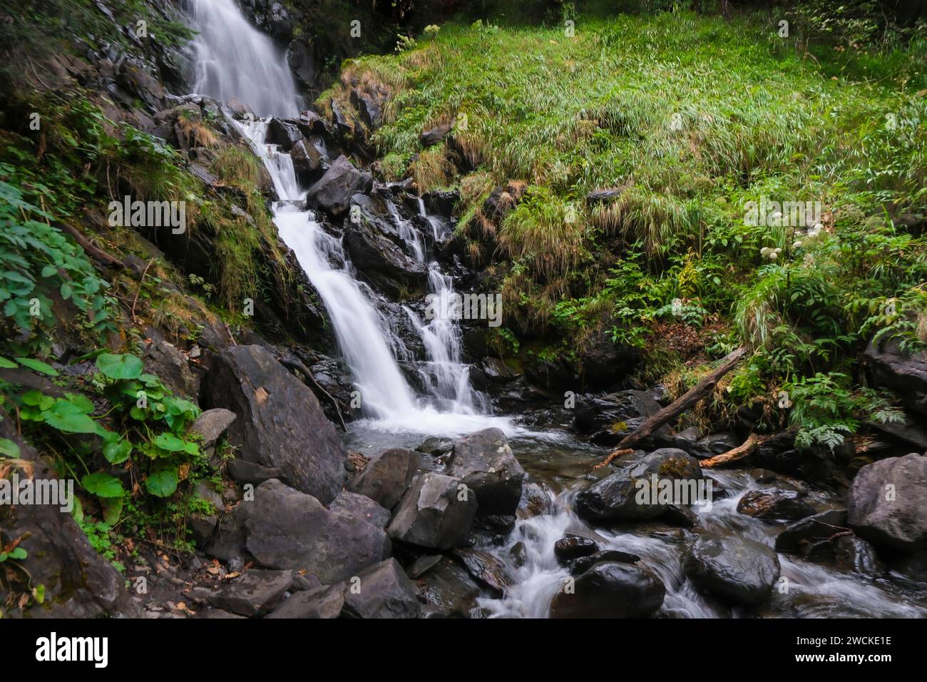Aran Valley, Spain, forests, rivers, waterfalls, mountains Stock Photo ...