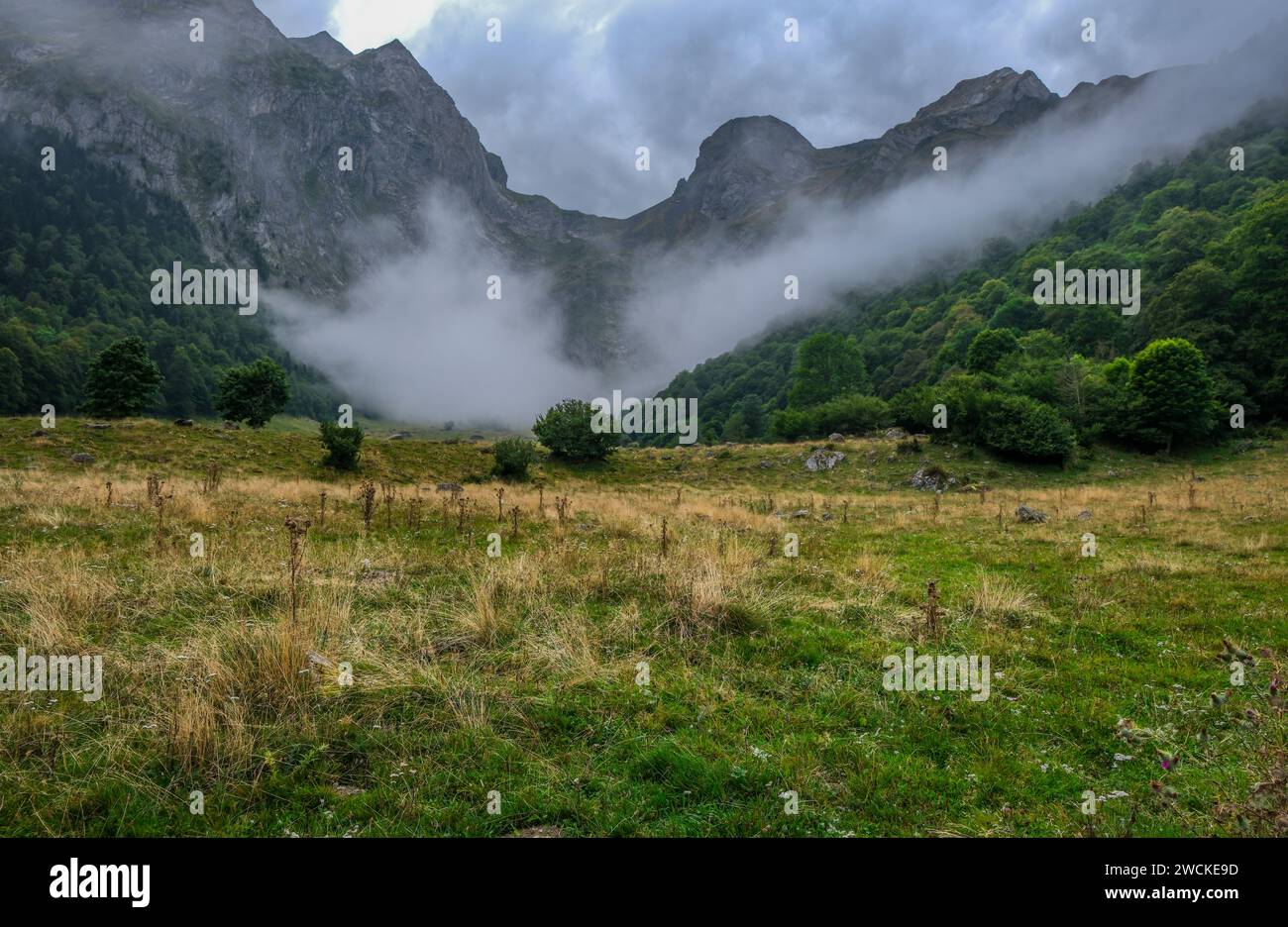 Aran Valley, Spain, forests, rivers, waterfalls, mountains Stock Photo ...