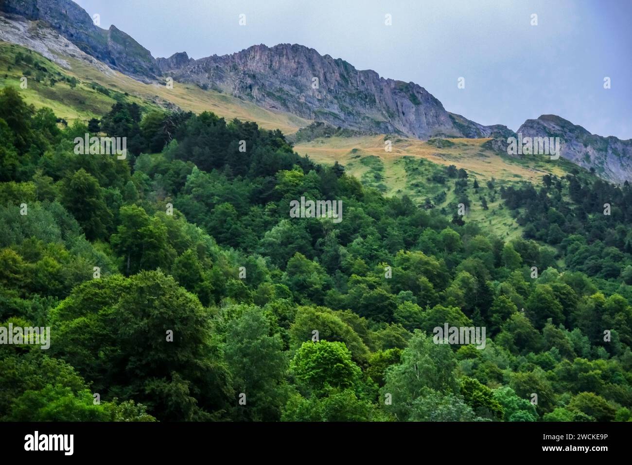 Aran Valley, Spain, forests, rivers, waterfalls, mountains Stock Photo ...