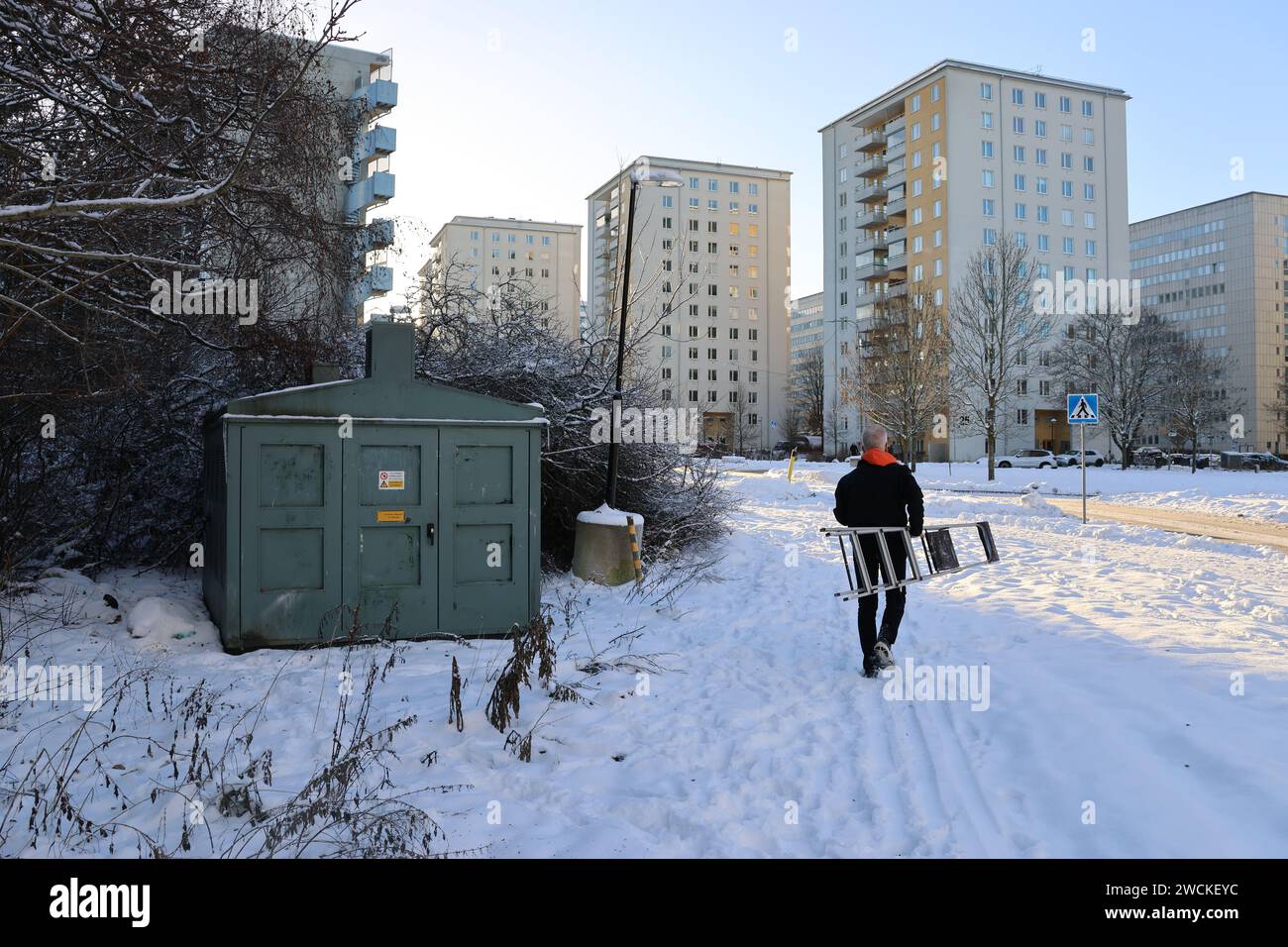 Winter and now on ground - man carries a folding ladder Stock Photo - Alamy