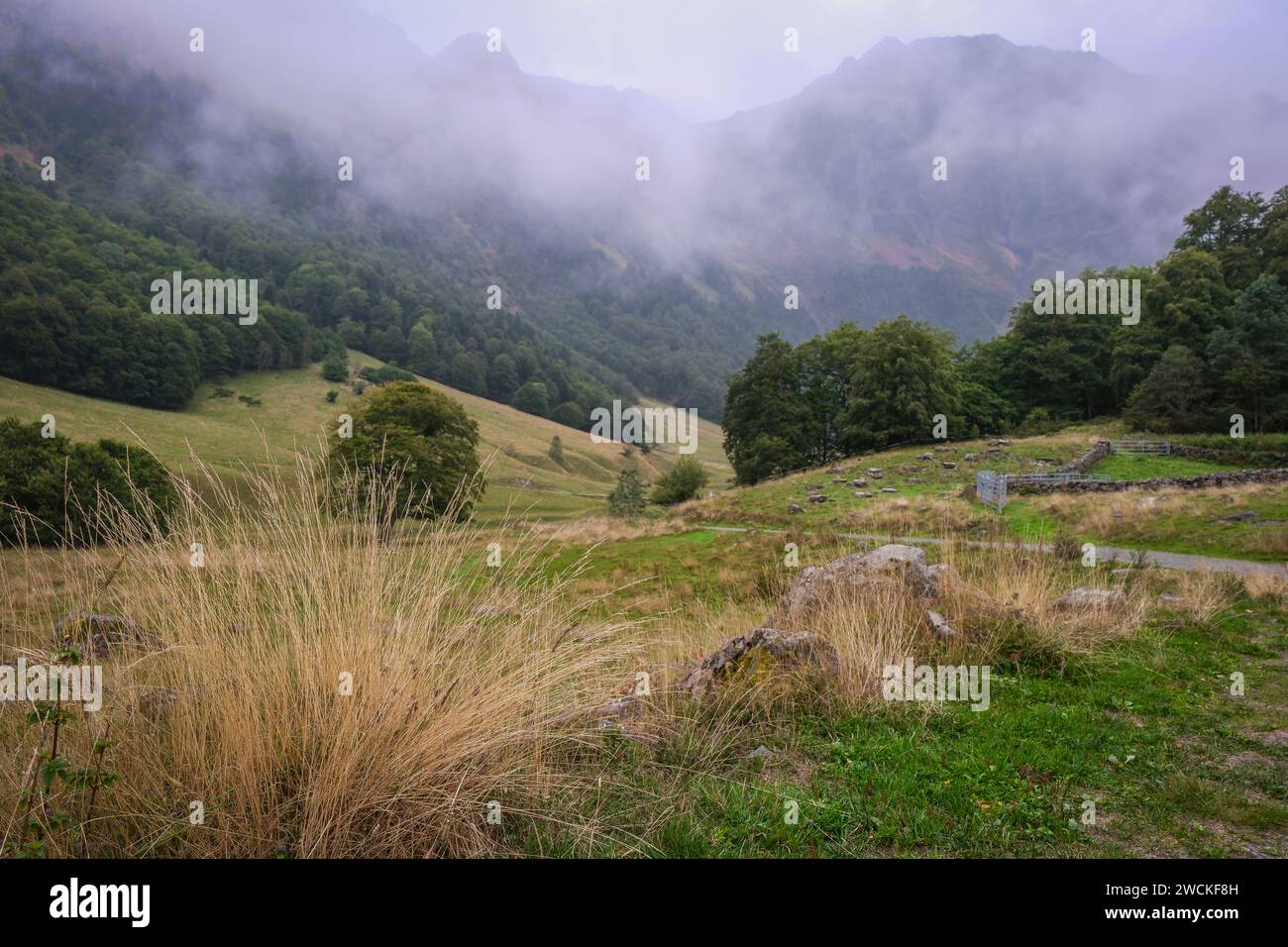 Aran Valley, Spain, forests, rivers, waterfalls, mountains Stock Photo ...