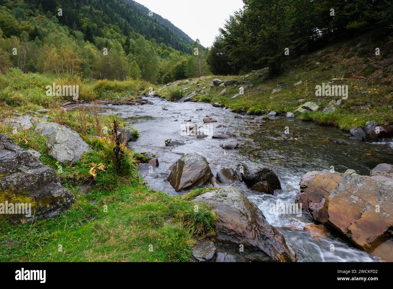 Aran Valley, Spain, forests, rivers, waterfalls, mountains Stock Photo ...