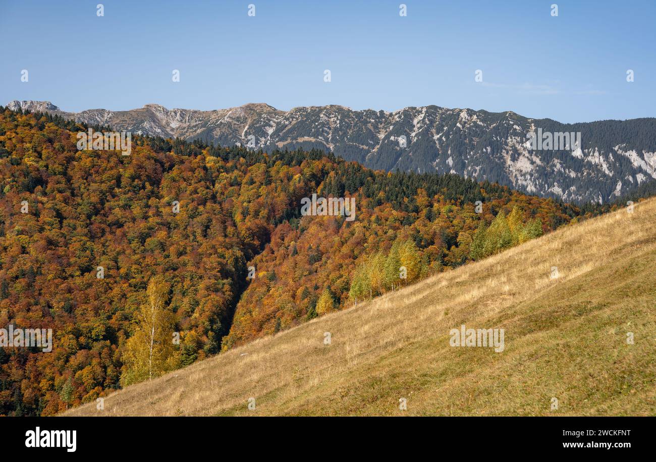 Breathtaking view of a verdant mountain range adorned with abundant ...