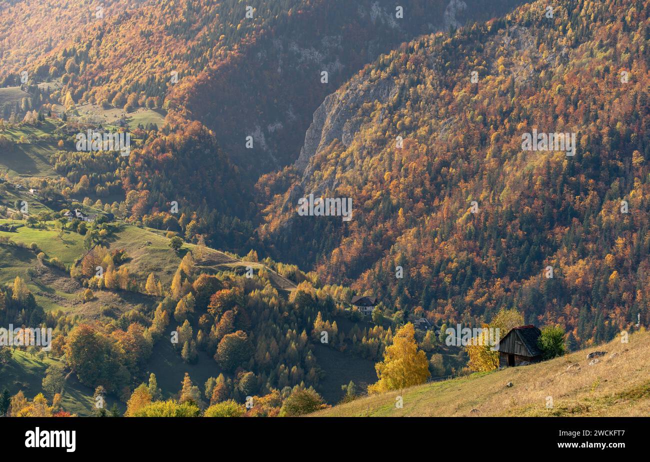 Breathtaking view of a verdant mountain range adorned with abundant ...