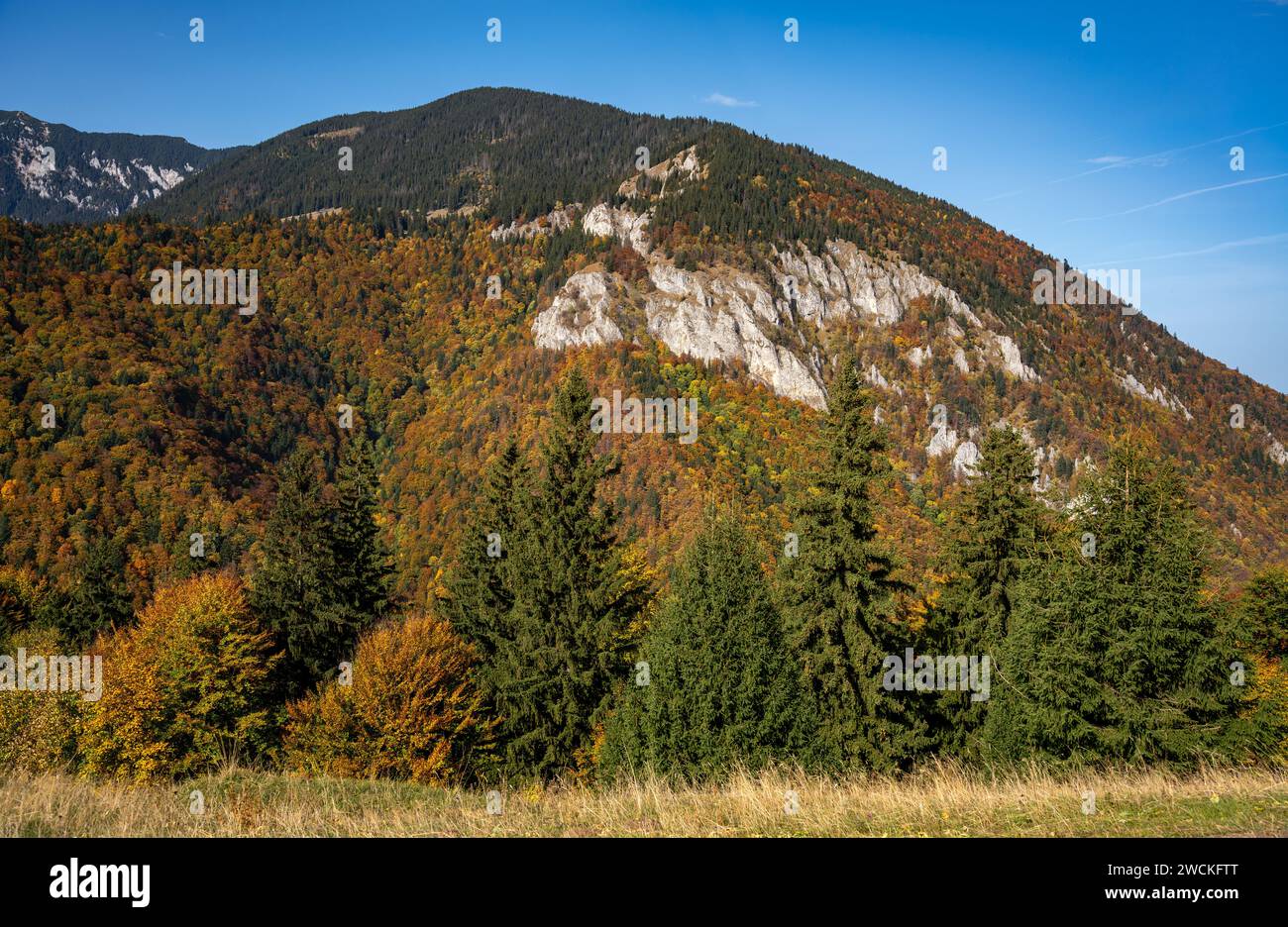 Breathtaking view of a verdant mountain range adorned with abundant ...