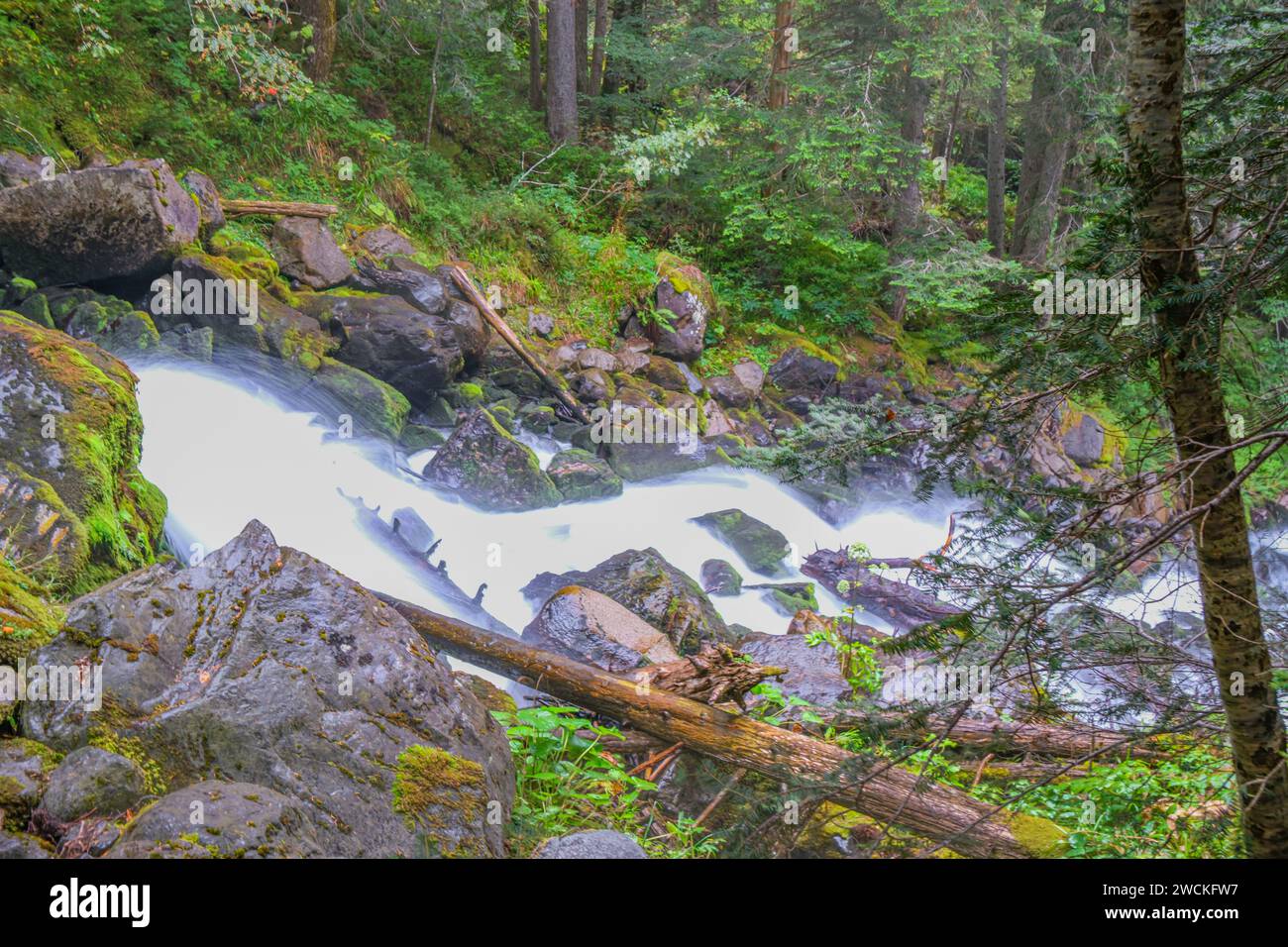 Aran Valley, Spain, forests, rivers, waterfalls, mountains Stock Photo ...