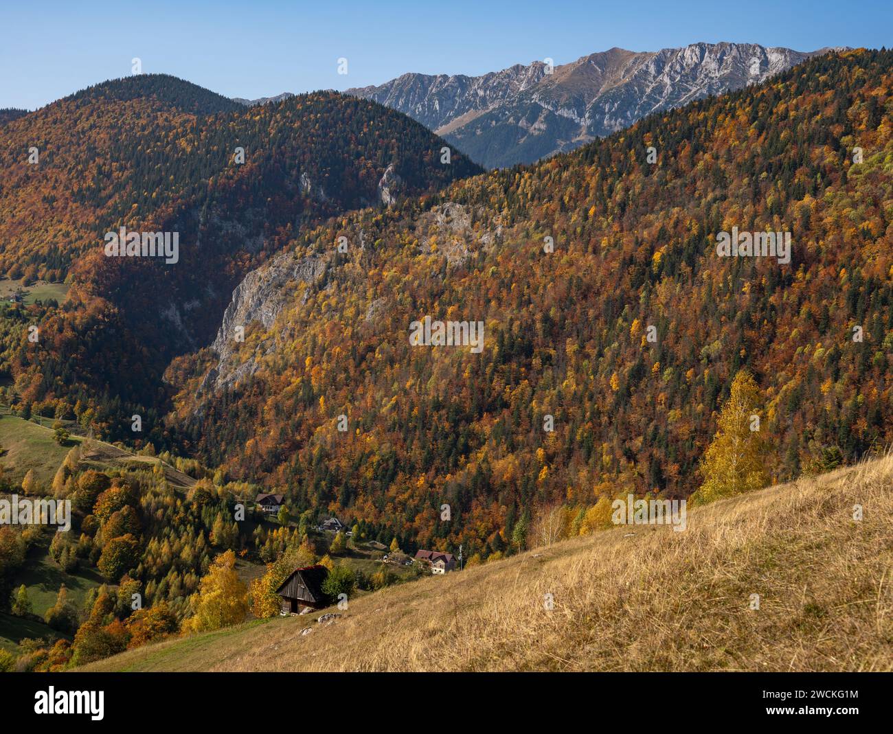 Breathtaking view of a verdant mountain range adorned with abundant ...