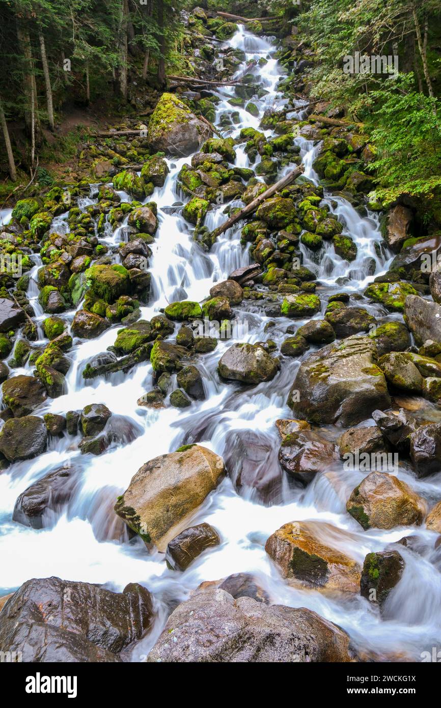 Aran Valley, Spain, forests, rivers, waterfalls, mountains Stock Photo ...