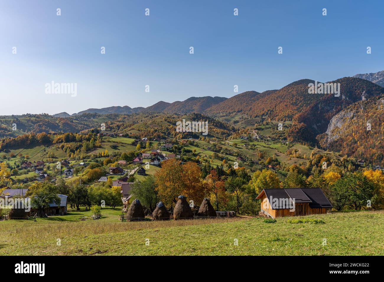 Breathtaking view of a verdant mountain range adorned with abundant ...