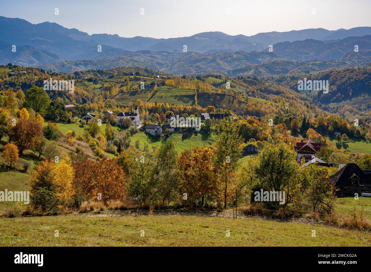 Breathtaking view of a verdant mountain range adorned with abundant ...