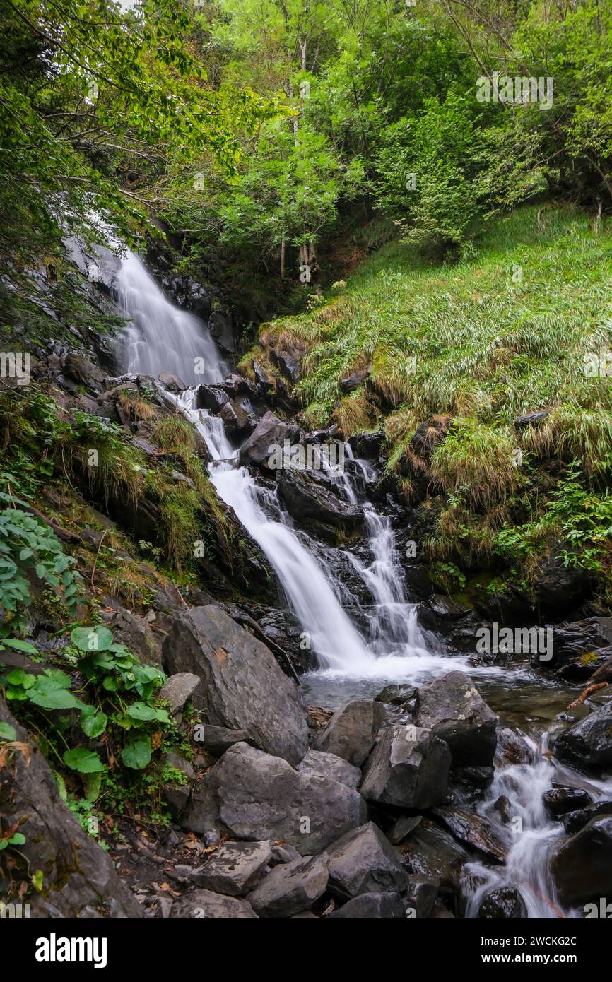 Aran Valley, Spain, forests, rivers, waterfalls, mountains Stock Photo ...
