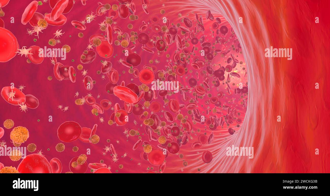 Components of blood circulating inside blood vessel - 3d illustration ...