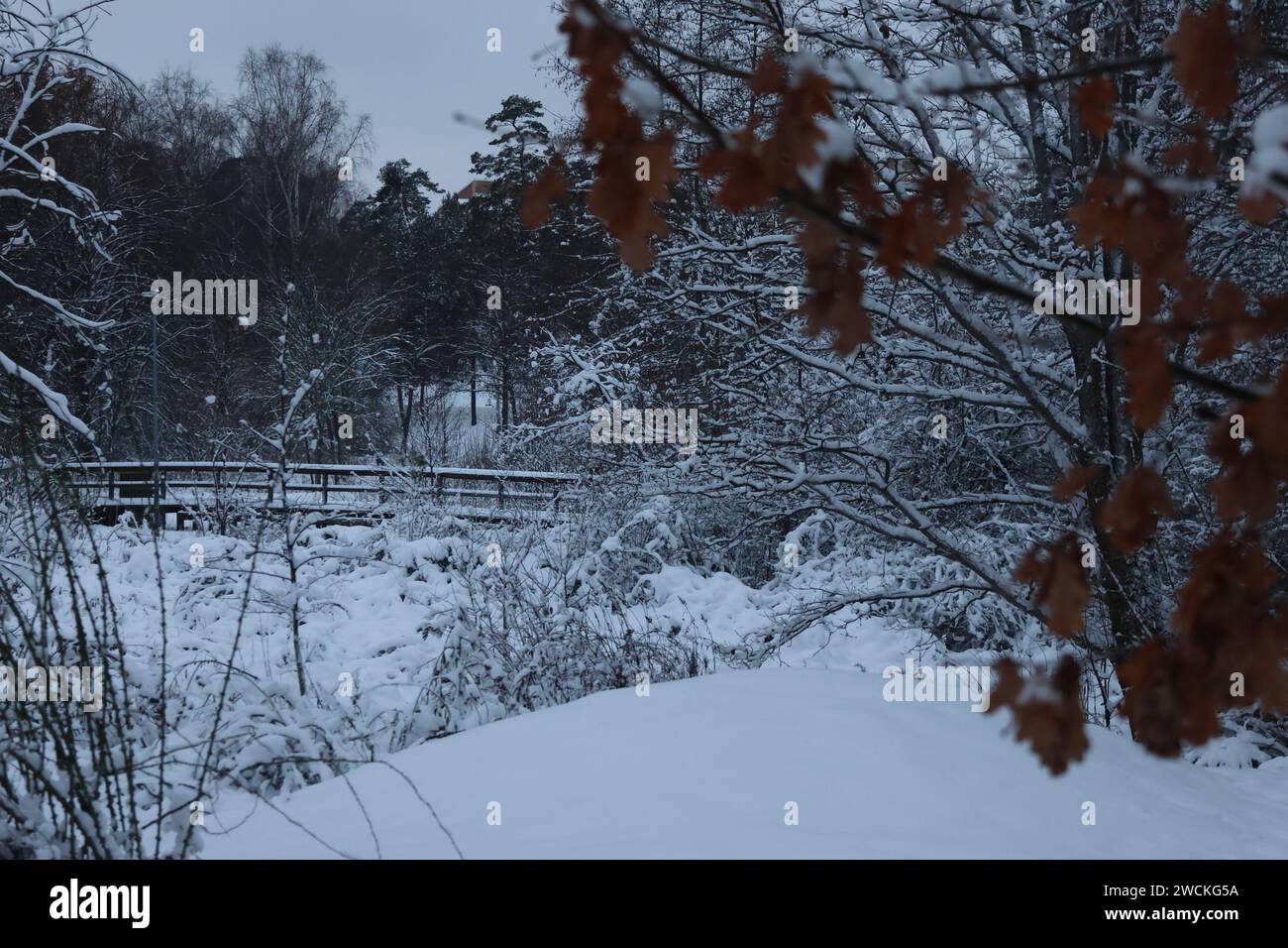 Kyrkdammen hi-res stock photography and images - Alamy
