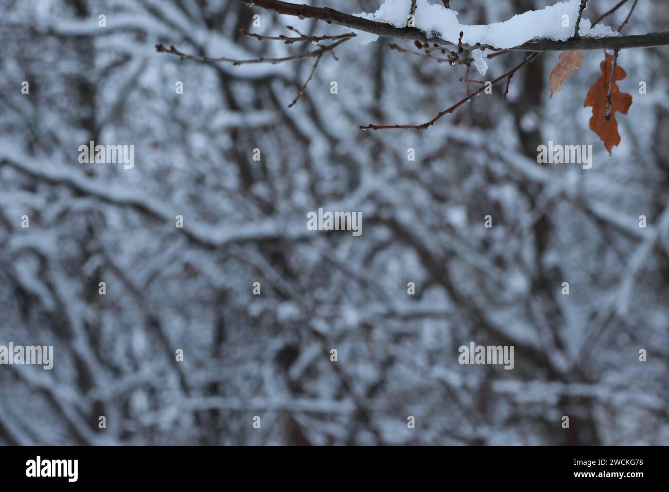 Kyrkdammen hi-res stock photography and images - Alamy