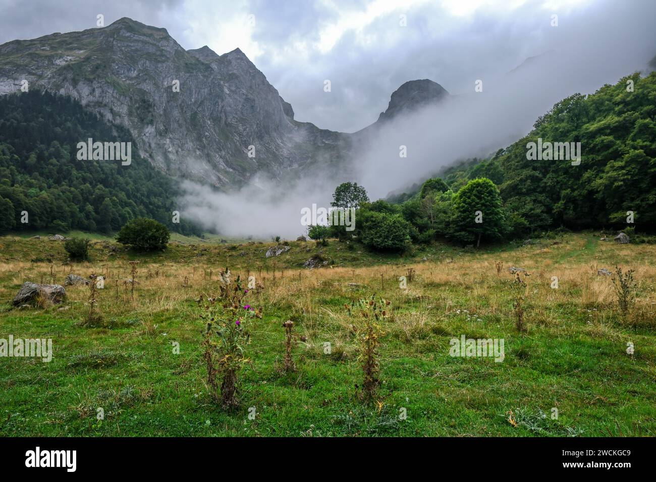 Aran Valley, Spain, forests, rivers, waterfalls, mountains Stock Photo ...