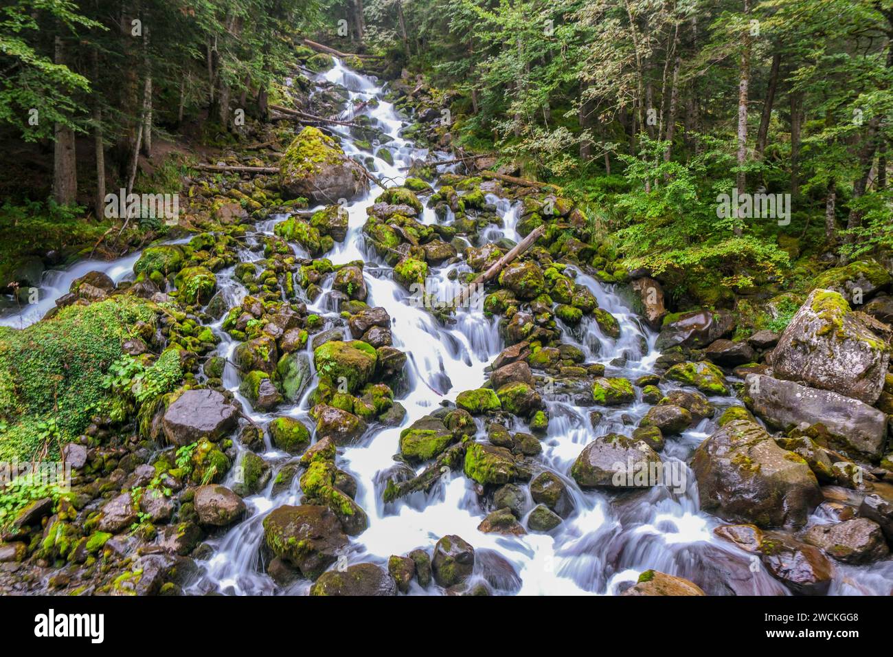 Aran Valley, Spain, forests, rivers, waterfalls, mountains Stock Photo ...