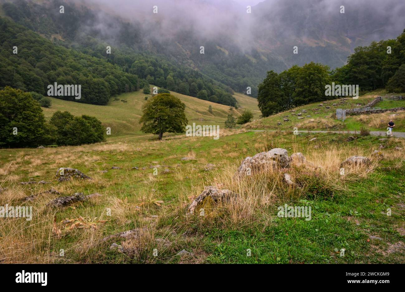 Aran Valley, Spain, forests, rivers, waterfalls, mountains Stock Photo ...