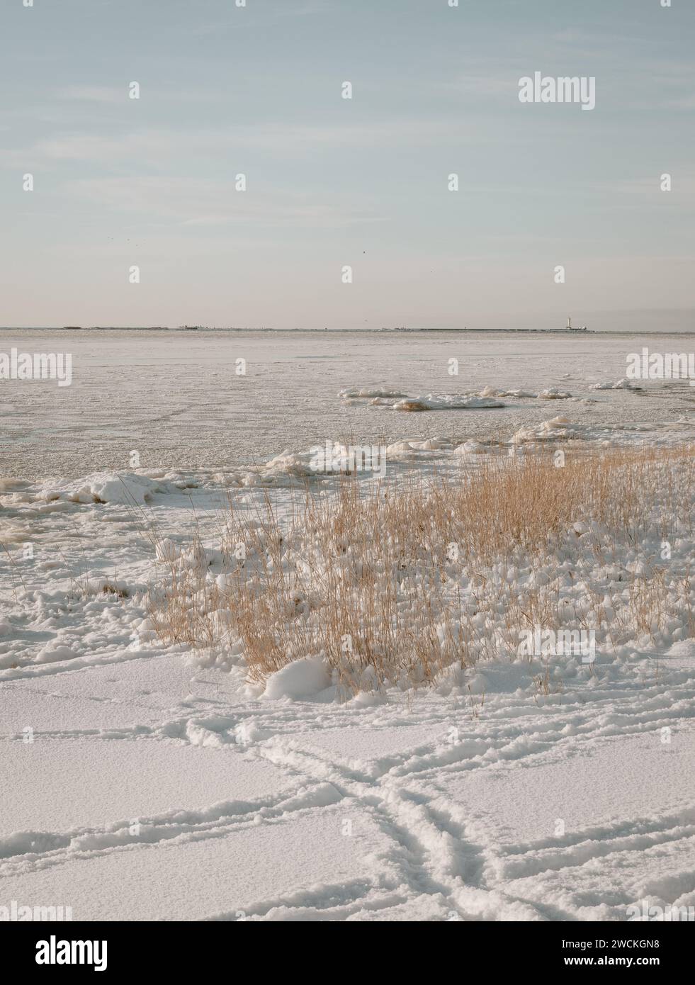 winter sea landscape with snow bushes frozen cold water with lighthouse on a background riga ...