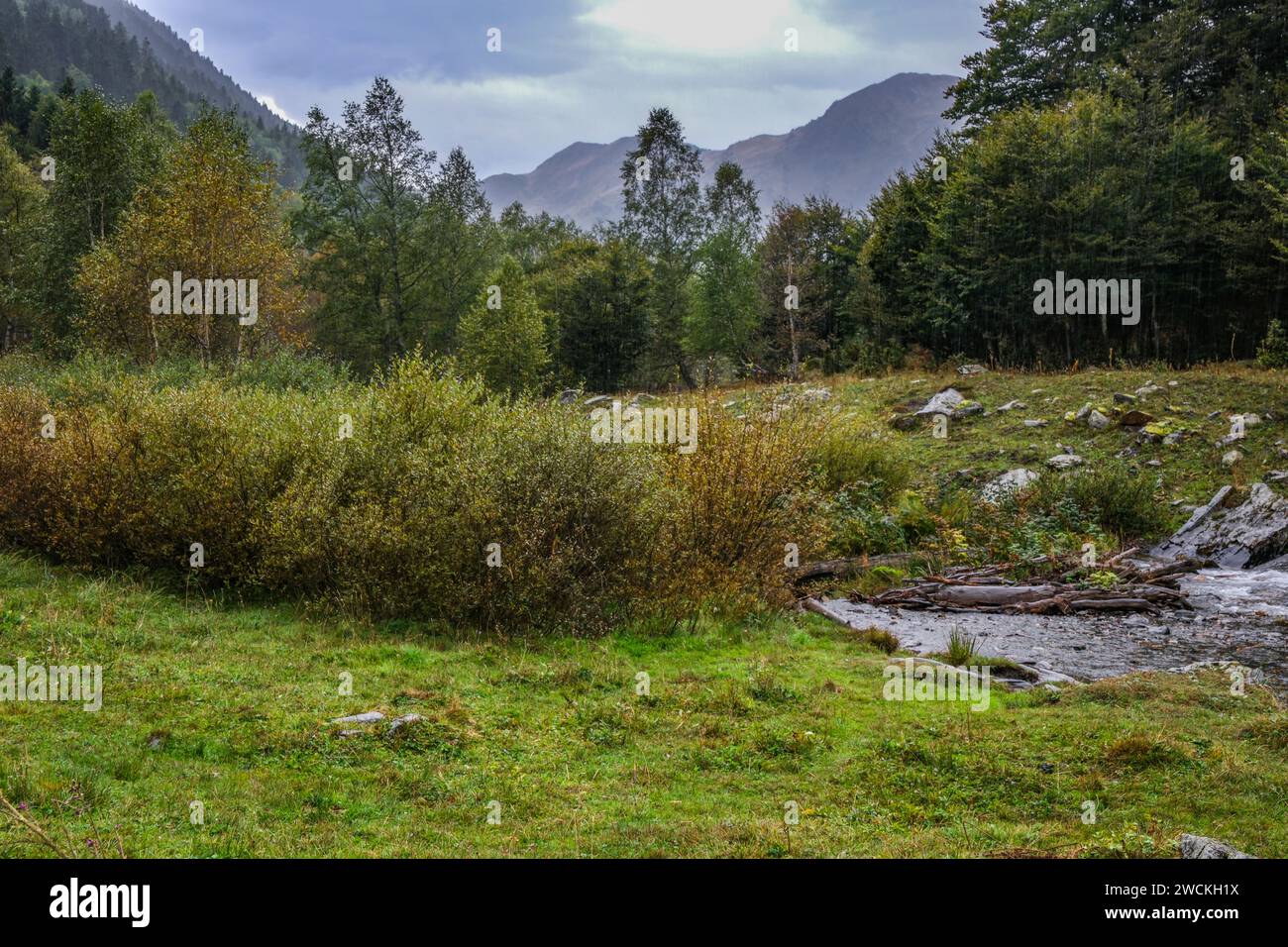 Aran Valley, Spain, forests, rivers, waterfalls, mountains Stock Photo ...