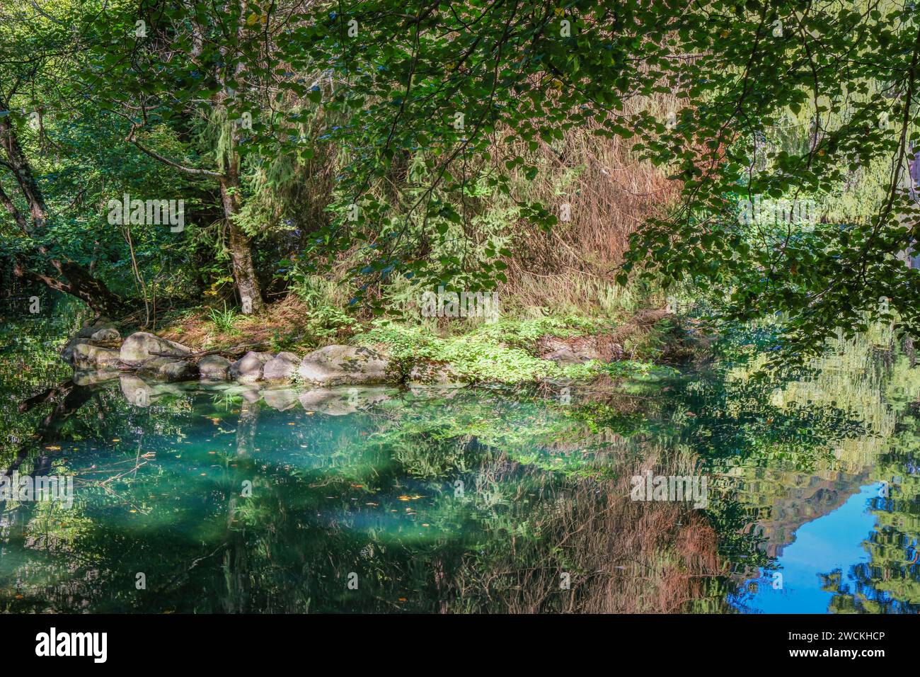 Aran Valley, Spain, forests, rivers, waterfalls, mountains Stock Photo ...