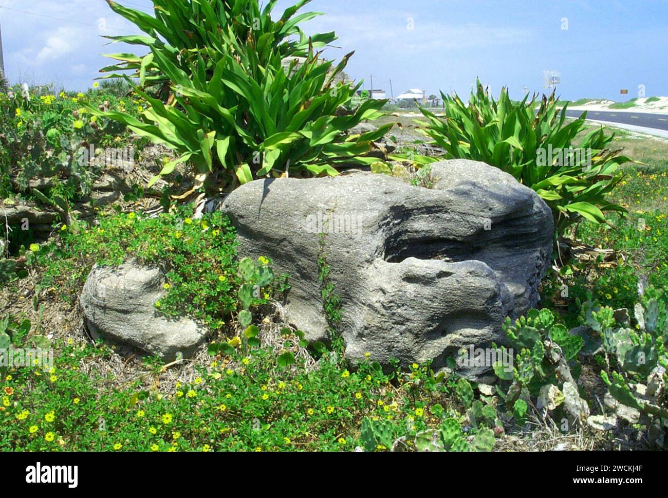 A1A Scenic and Historic Coastal Byway - Coquina Stone Stock Photo - Alamy