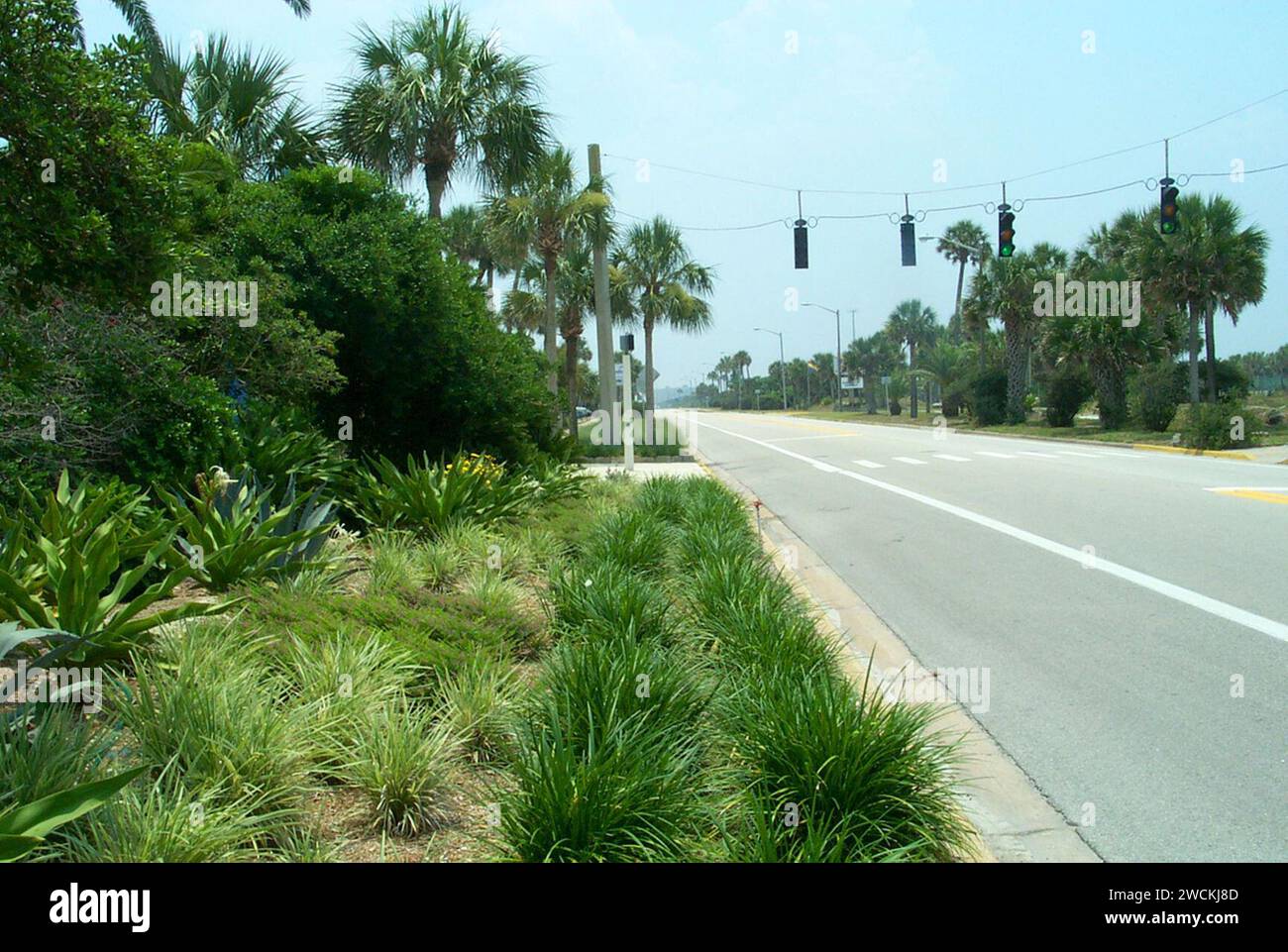 A1A Scenic and Historic Coastal Byway - Roadside Landscaping Near ...